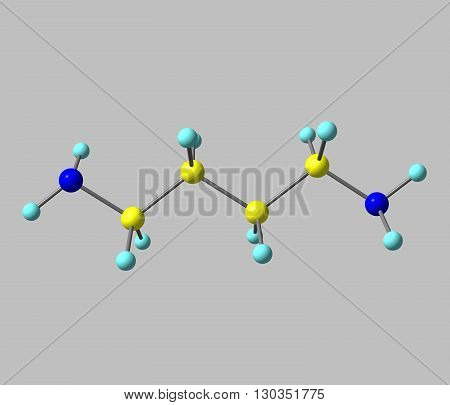 Putrescine - Image & Photo (Free Trial) | Bigstock