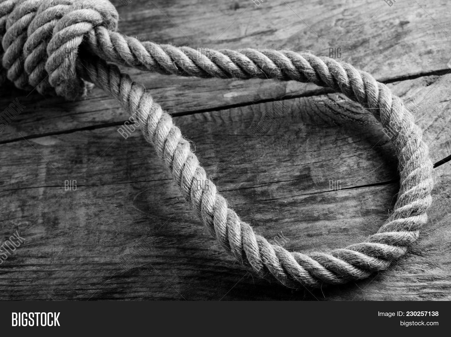 Gallows Noose Knot - Image & Photo (Free Trial) | Bigstock