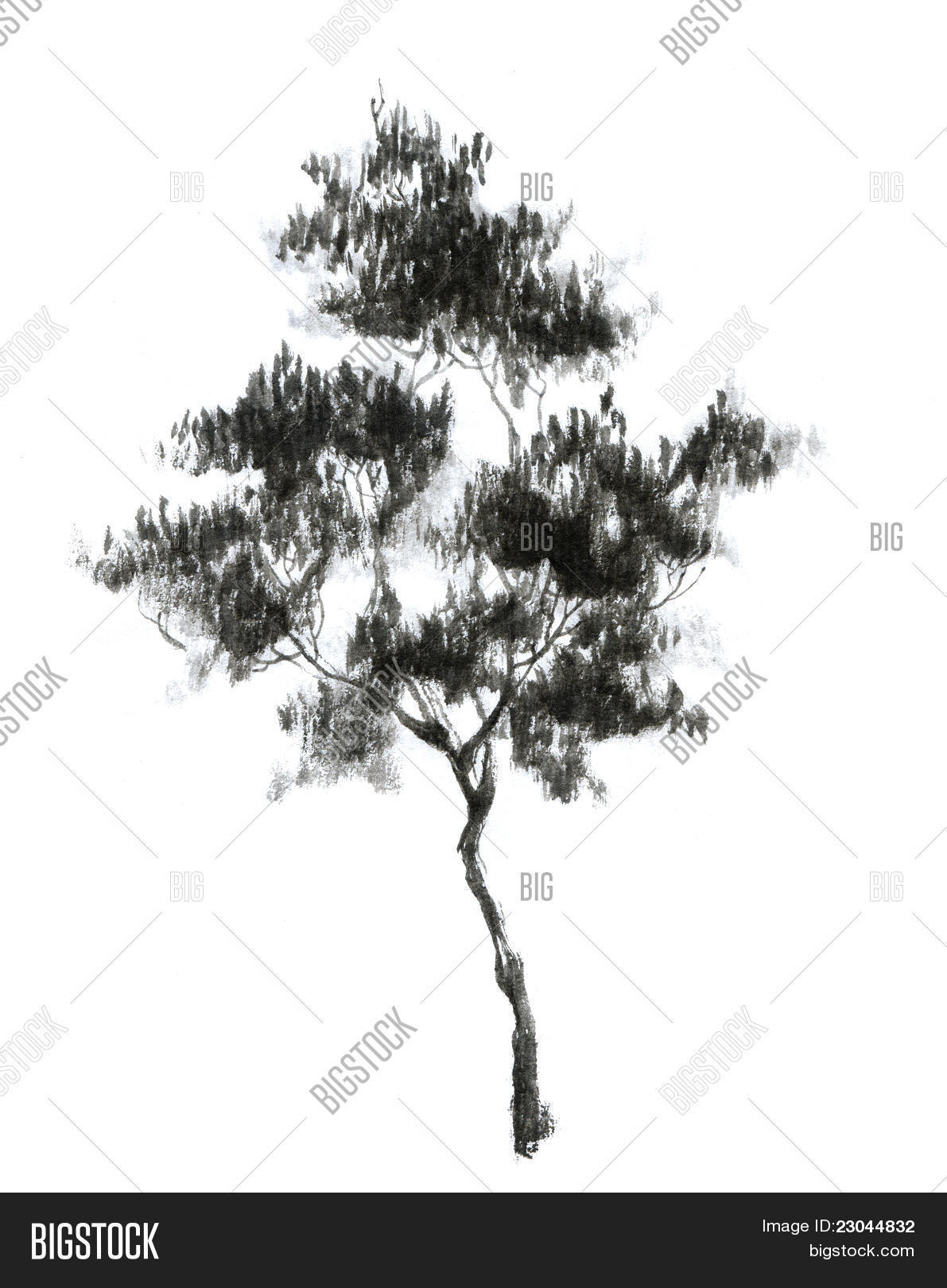 Sumie Tree Image & Photo (Free Trial) | Bigstock
