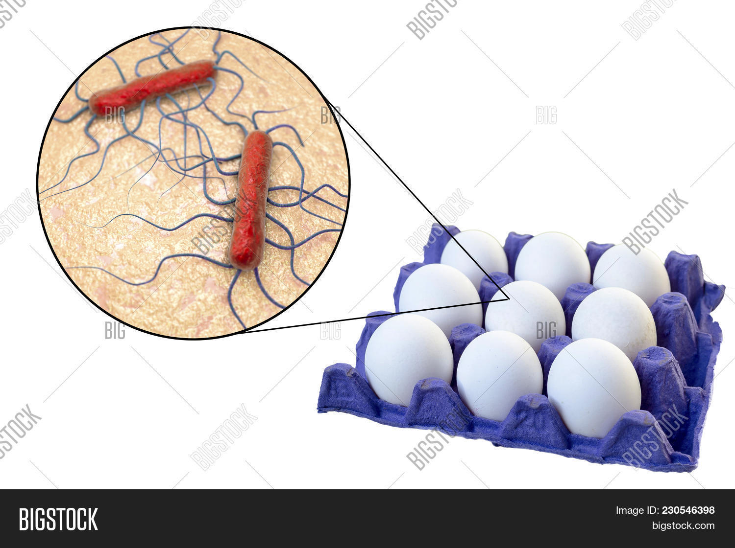 Contamination Eggs Image & Photo (Free Trial) | Bigstock