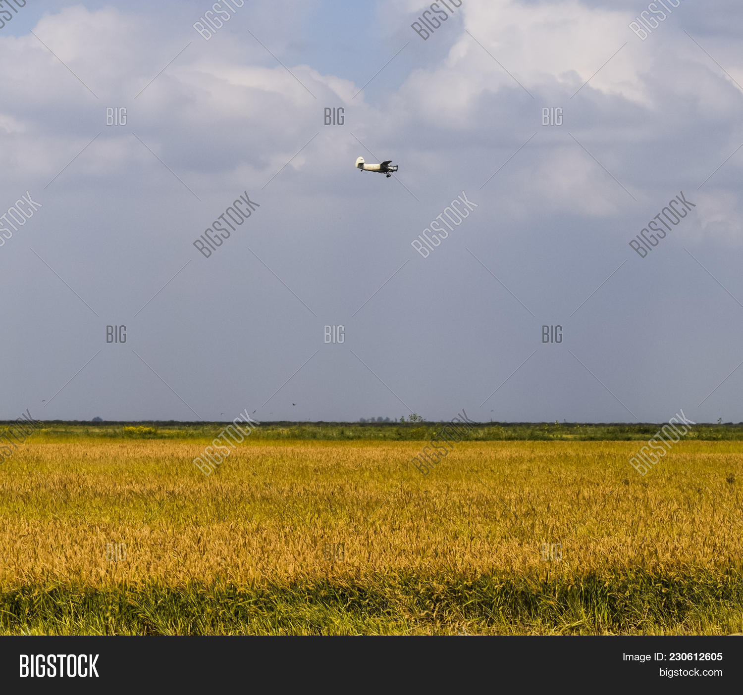 Agricultural Plane Image & Photo (Free Trial) | Bigstock