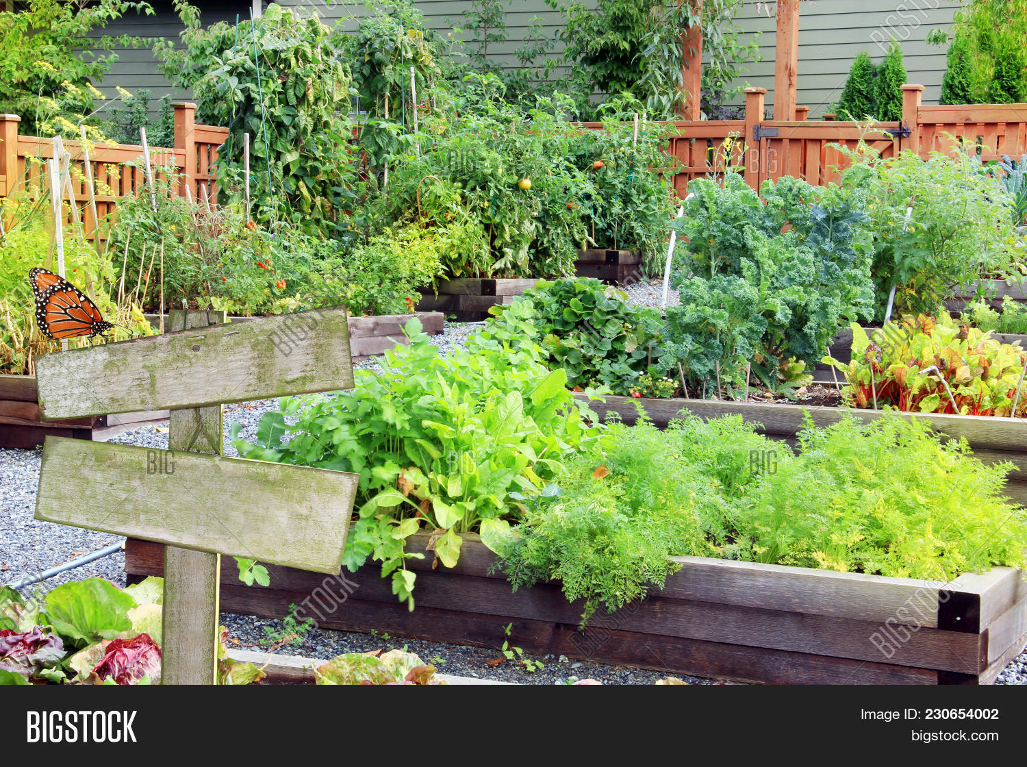 Lush Organic Community Image & Photo (Free Trial) | Bigstock