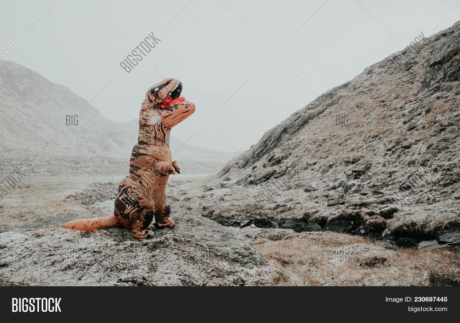 Man Dinosaur Costume Image & Photo (Free Trial) | Bigstock