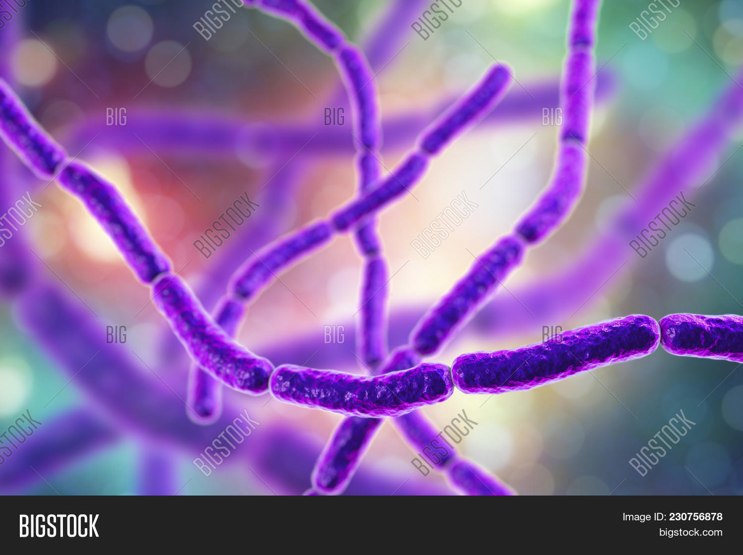 Streptobacillus Image & Photo (Free Trial) | Bigstock