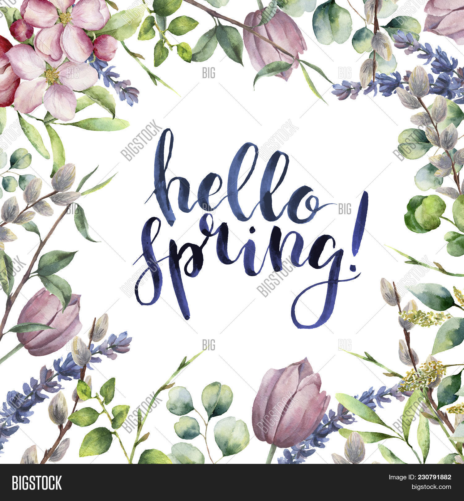 Watercolor Hello Image & Photo (Free Trial) | Bigstock