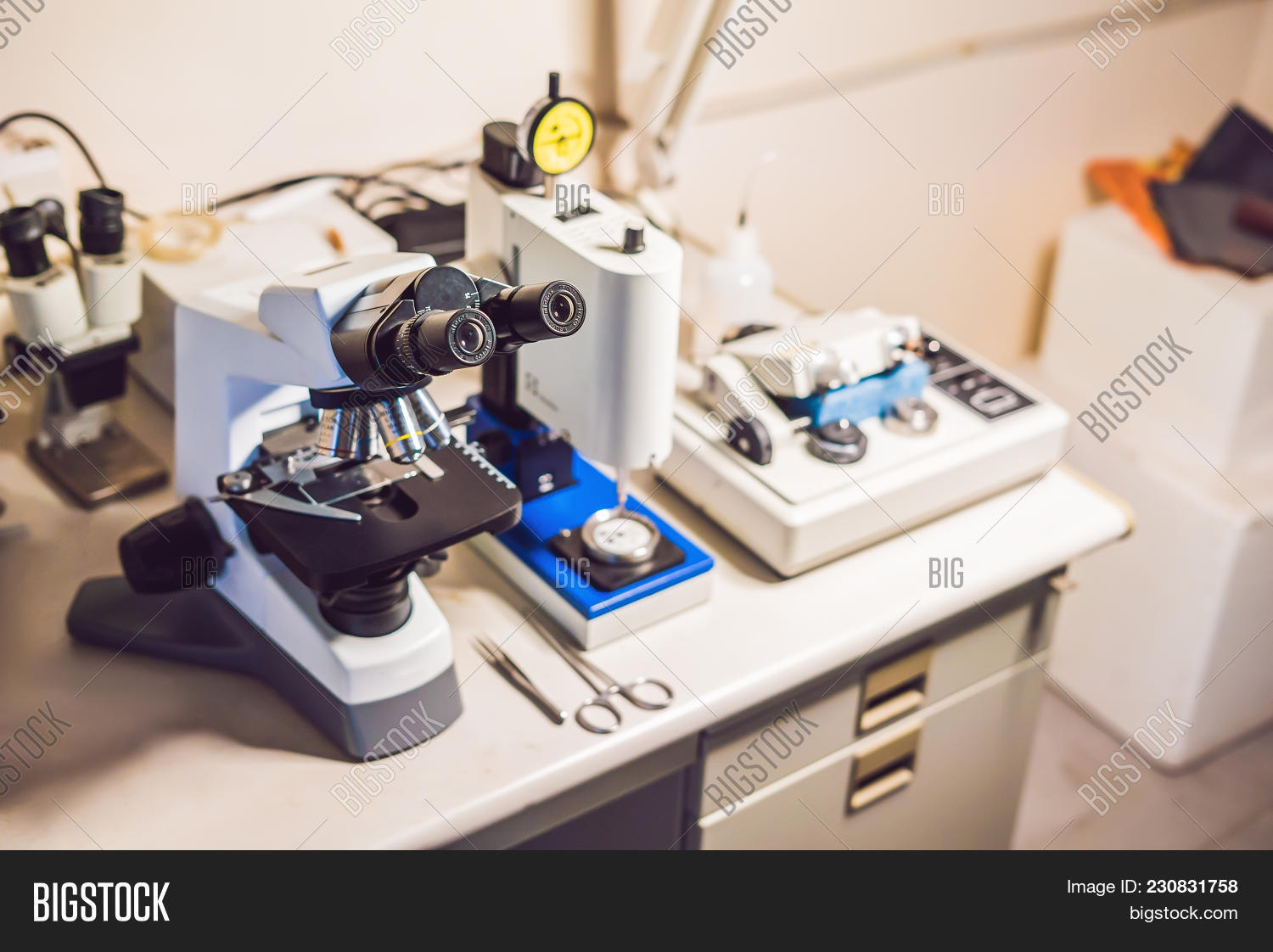 Sample Preparation Image & Photo (Free Trial) | Bigstock