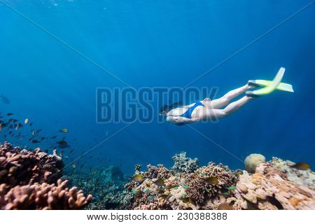Woman Diving Into Water Images, Illustrations, Vectors - Woman Diving ...