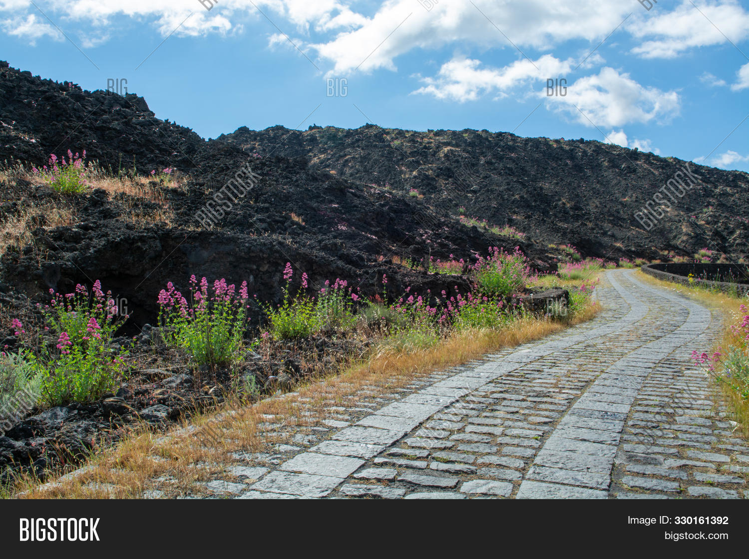 Stone Road Through Image & Photo (Free Trial) | Bigstock