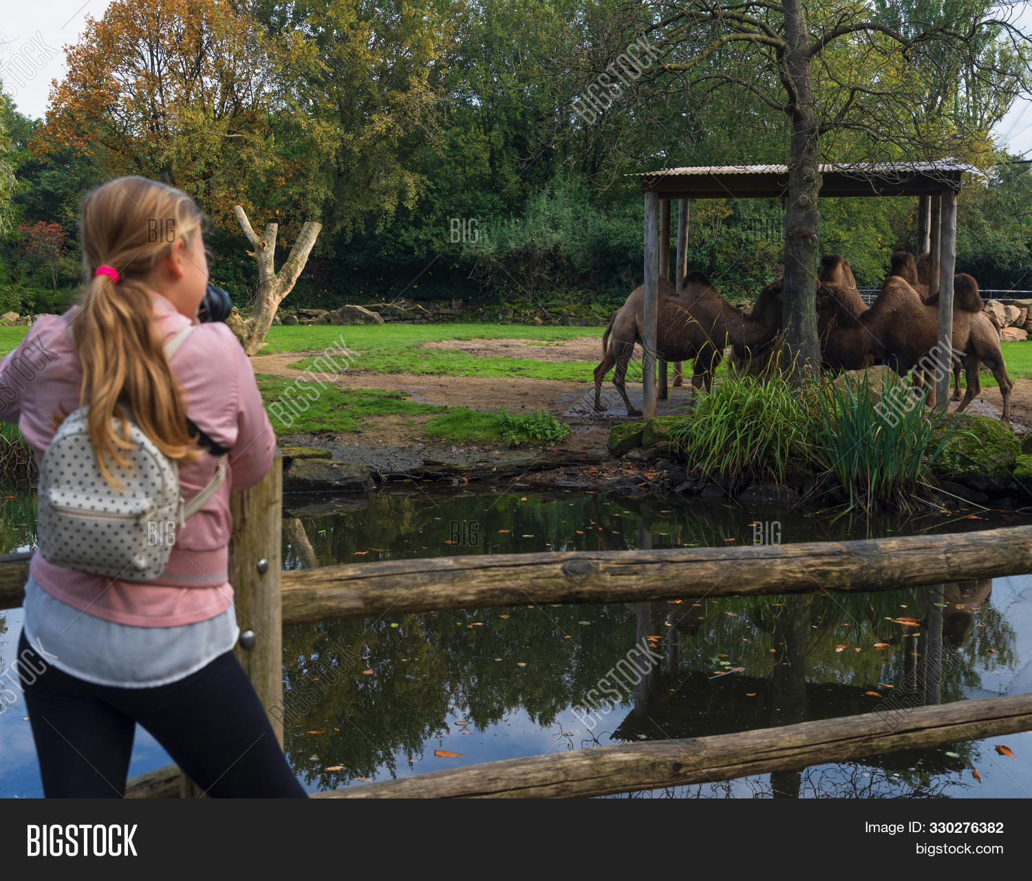 Girl Photographer Image & Photo (Free Trial) | Bigstock