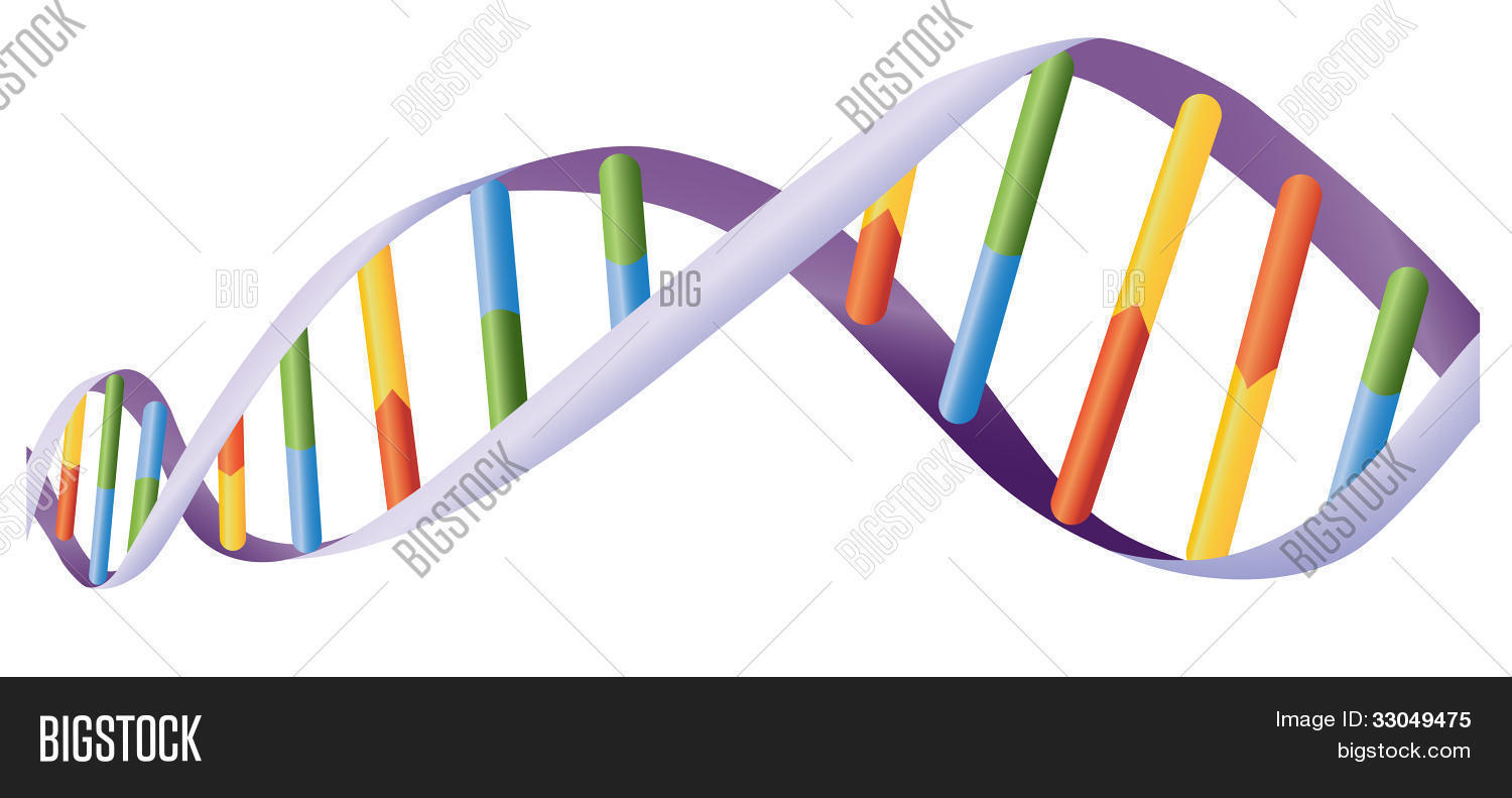 Illustration DNA Helix Image & Photo (Free Trial) | Bigstock