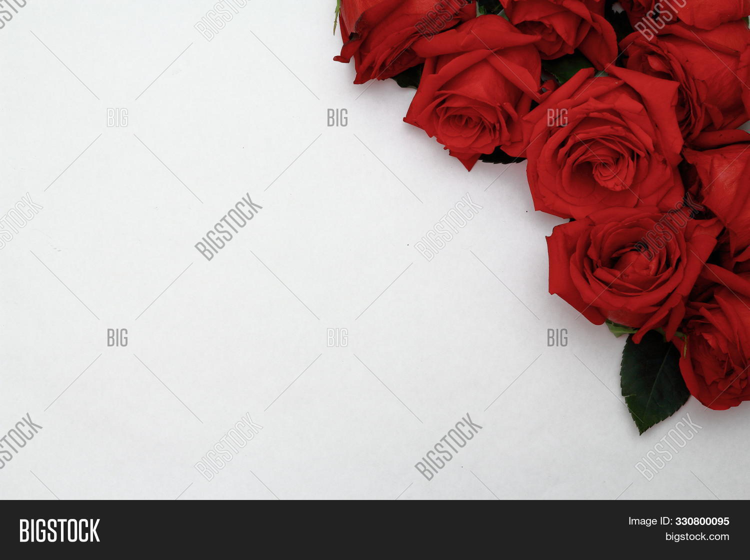 Red Rose Corner