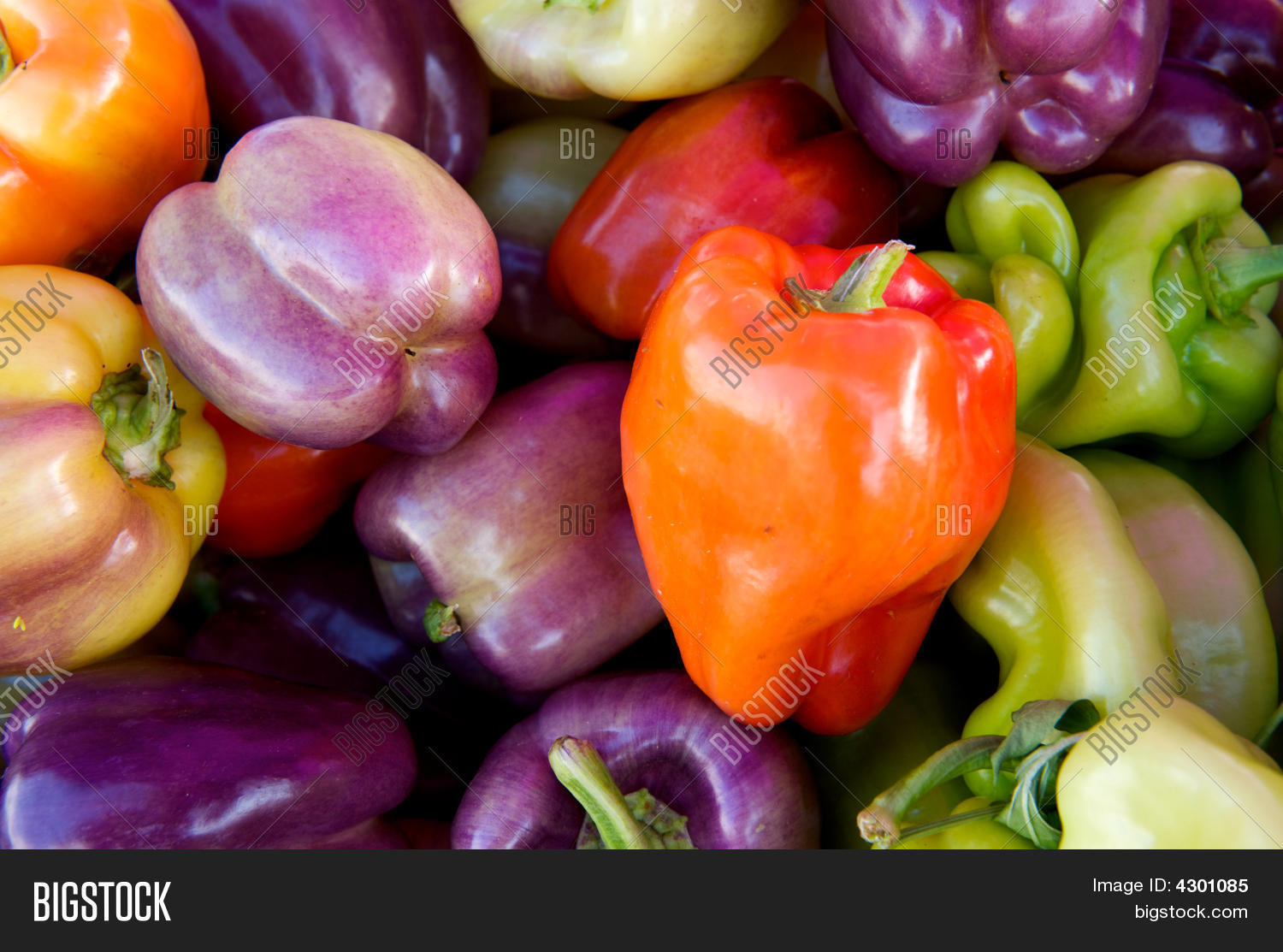 Multicolored Peppers Image & Photo (Free Trial) | Bigstock
