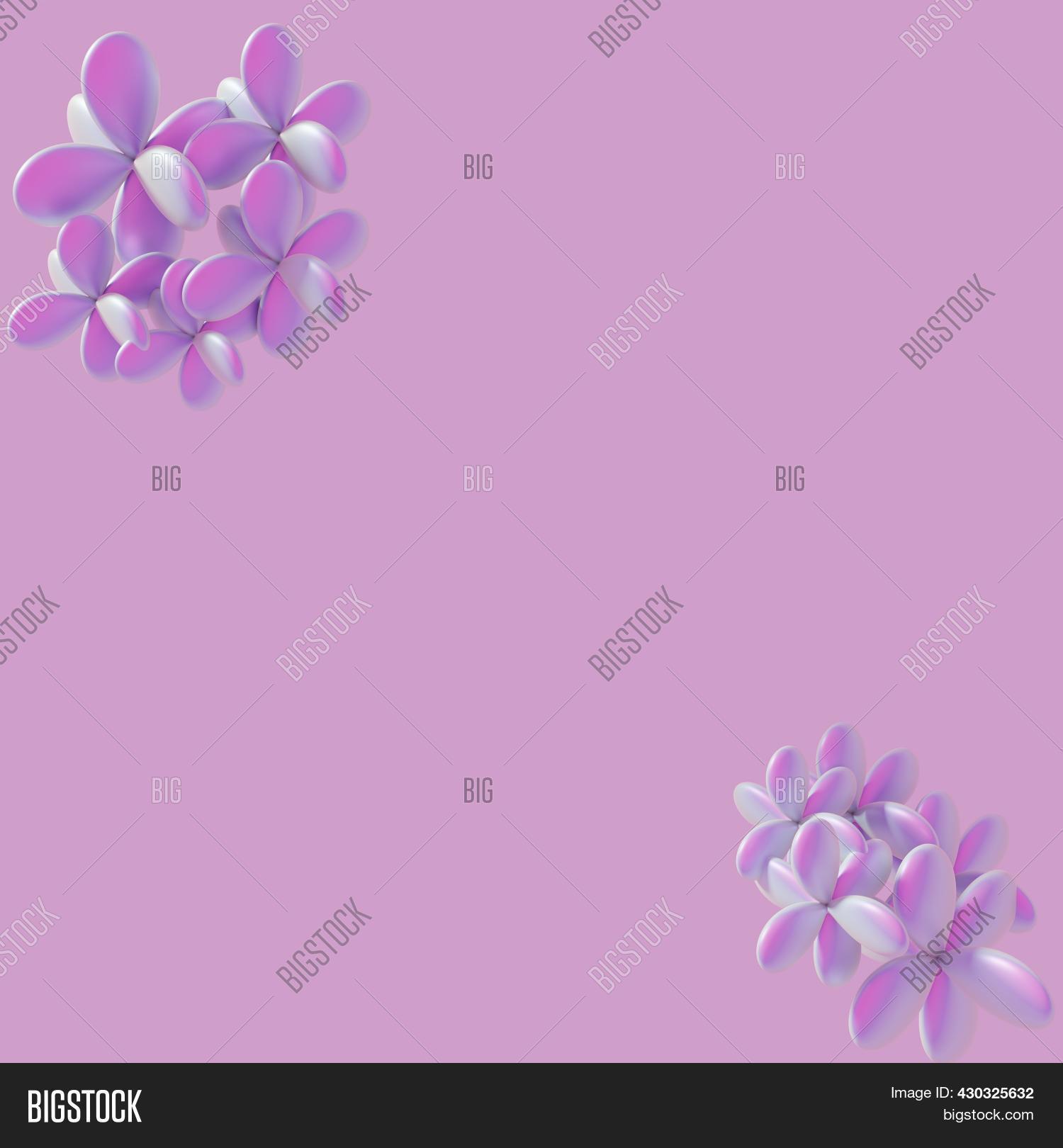 3d Floral Frame Border Image & Photo (Free Trial) | Bigstock