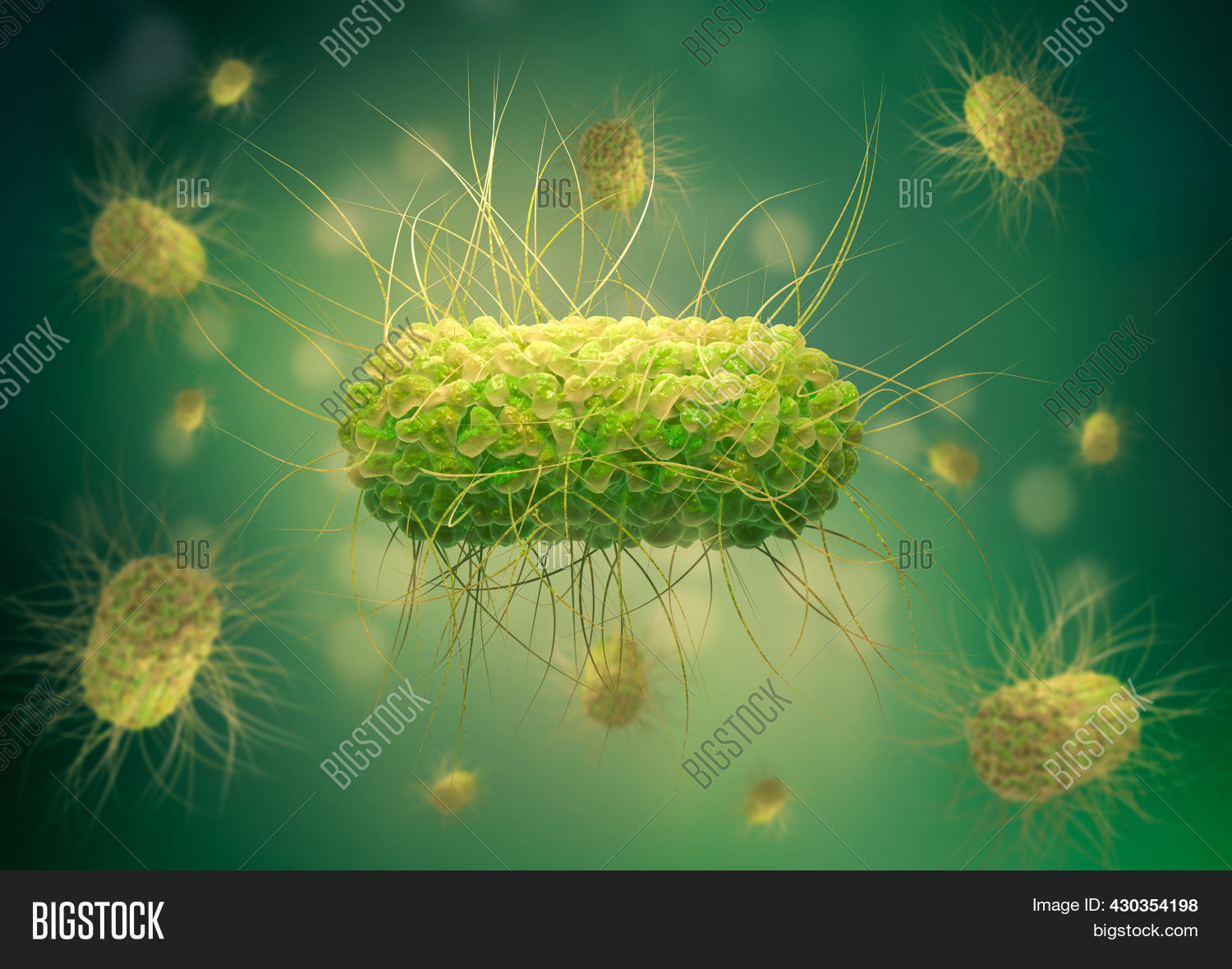 Salmonella Bacterium Image & Photo (Free Trial) | Bigstock