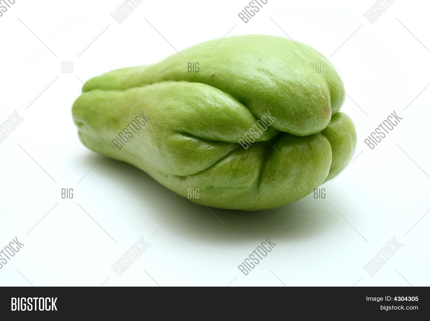 Cayote Squash Image & Photo (Free Trial) | Bigstock