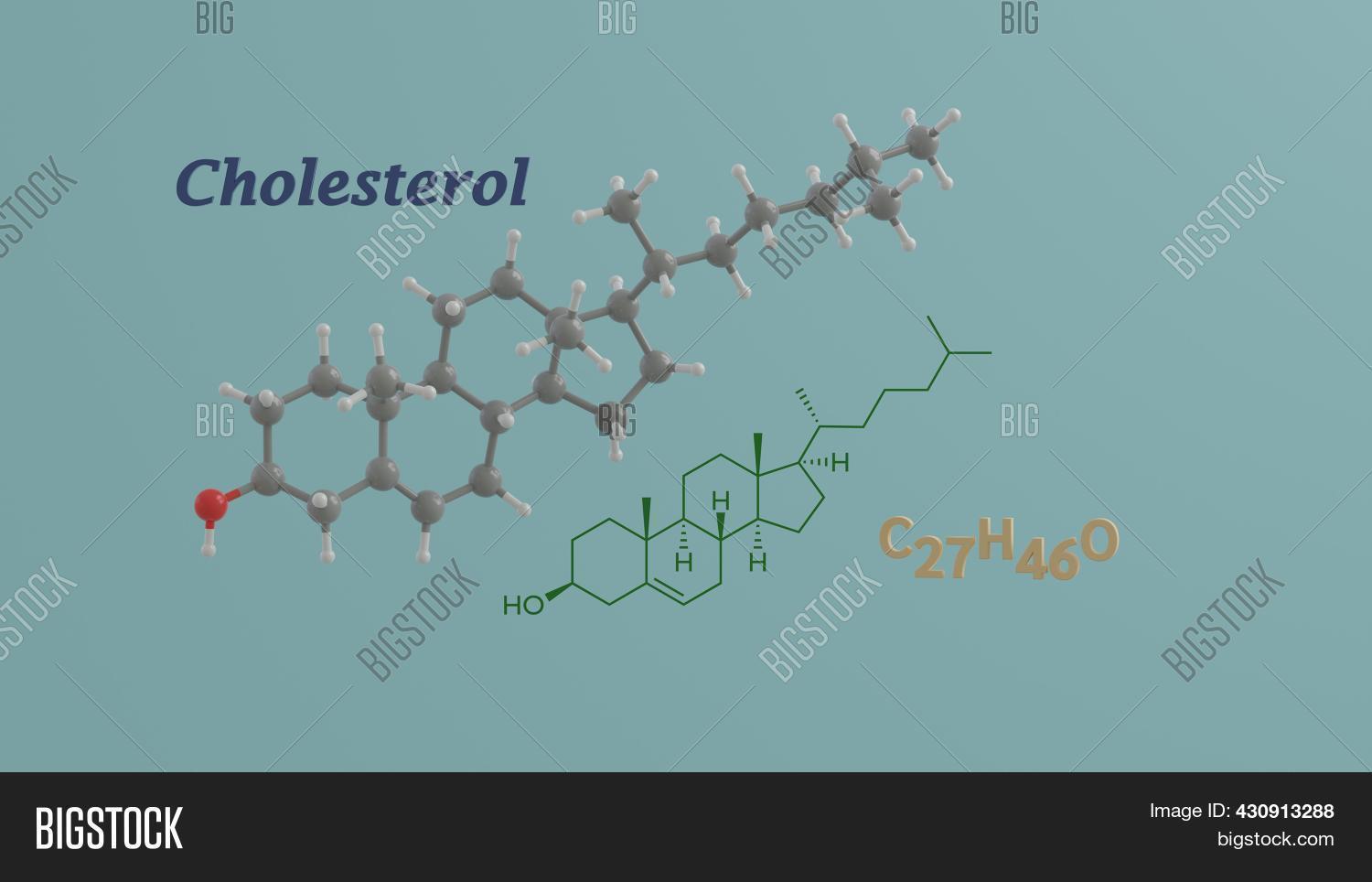 Cholesterol Lipid Cell Image & Photo (Free Trial) | Bigstock