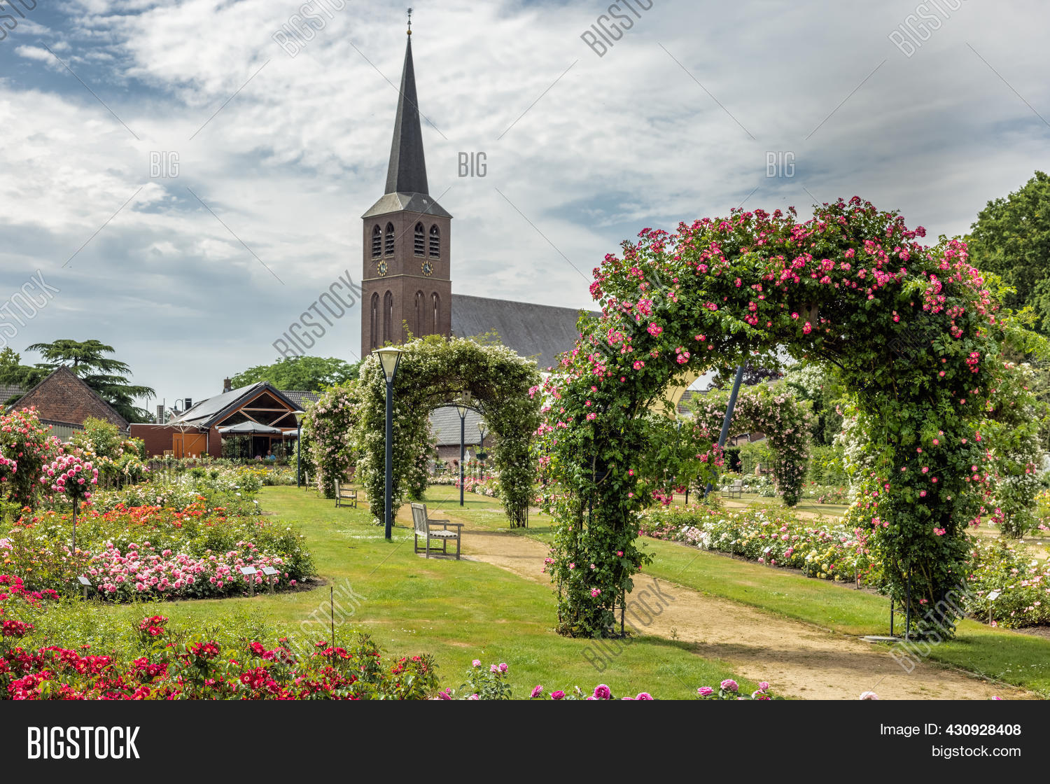 Dutch Rose Garden Near Image & Photo (Free Trial) | Bigstock