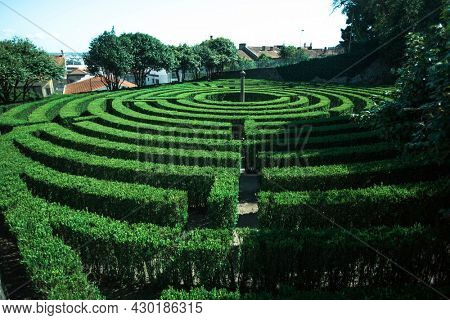 Maze Built By Hedges Image & Photo (Free Trial) | Bigstock