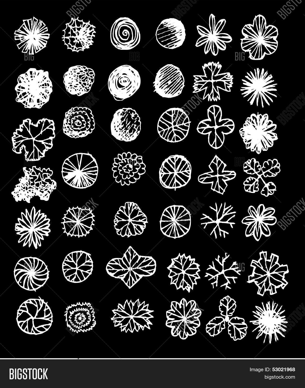 Trees Top View Vector & Photo (Free Trial) | Bigstock