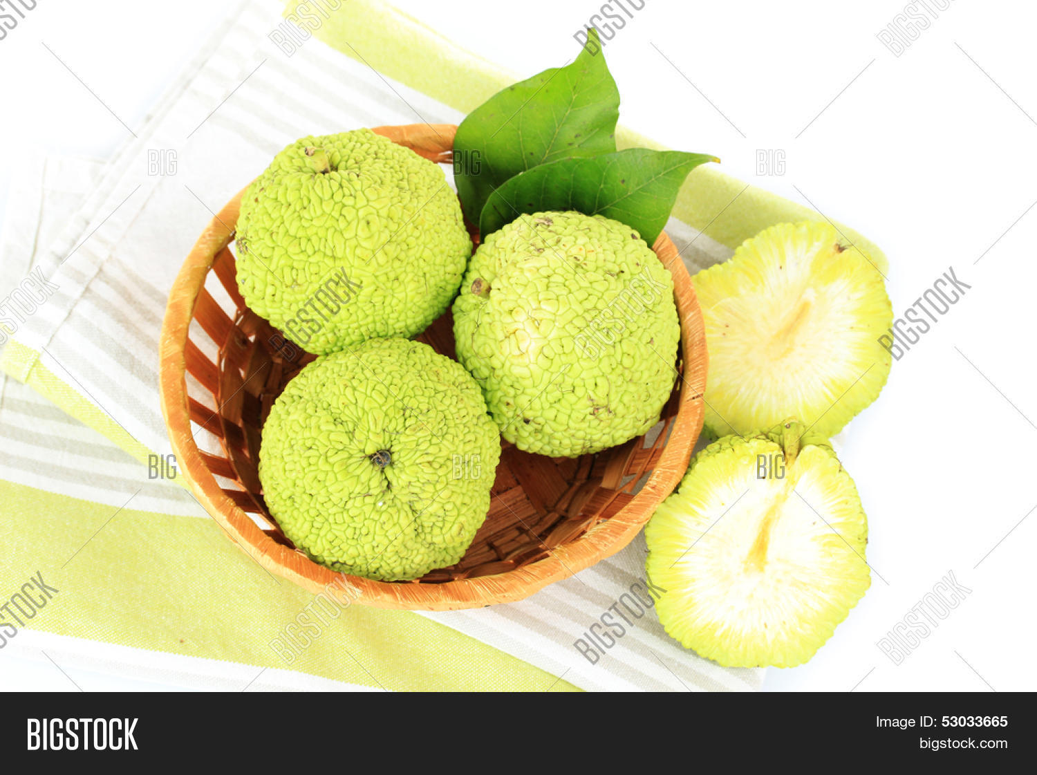 Osage Orange Fruits ( Image & Photo (Free Trial) | Bigstock
