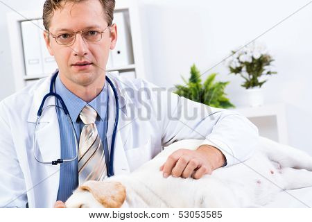 Portrait Male Vet Image & Photo (Free Trial) | Bigstock