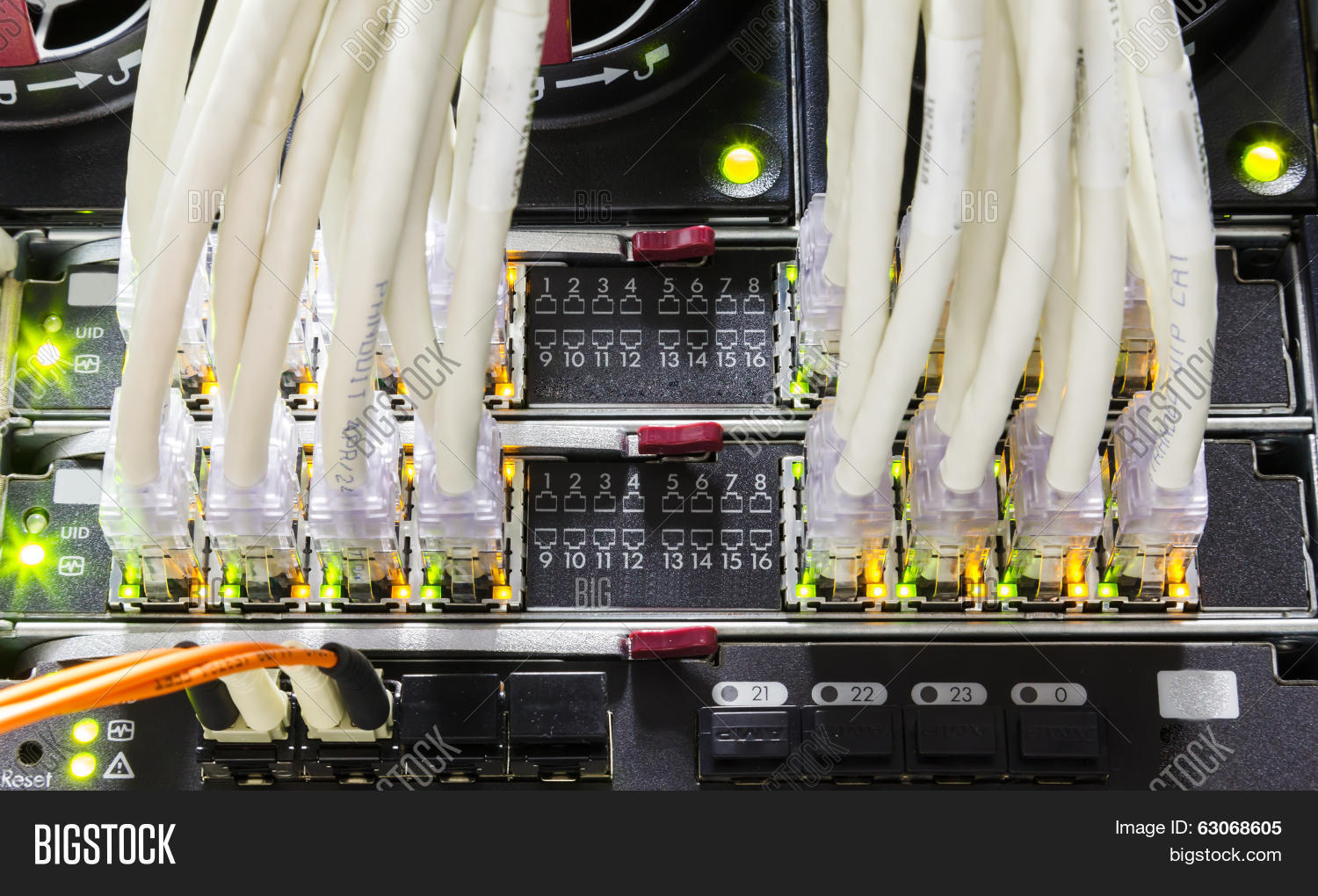 Switch Ports Patch Image & Photo (Free Trial) | Bigstock