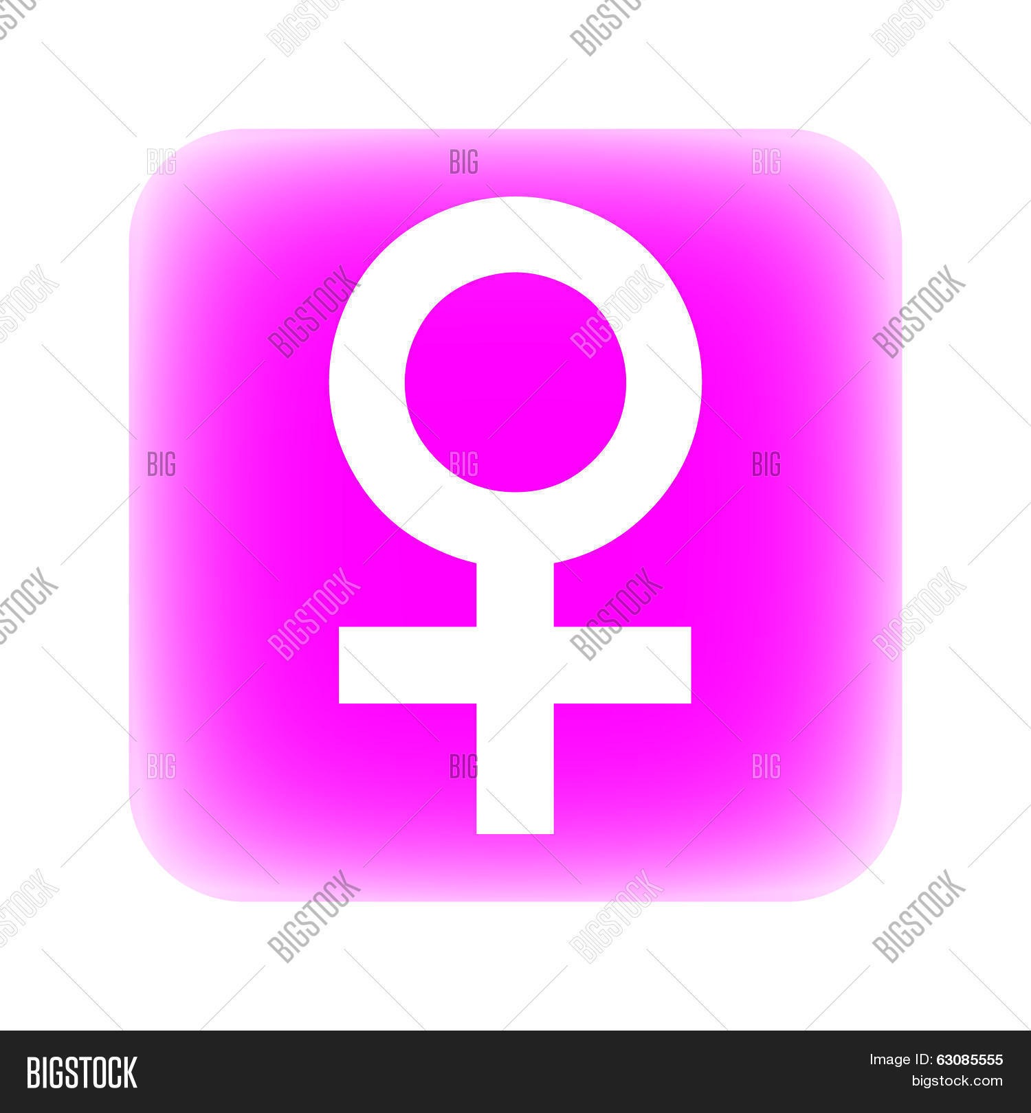 Gender Female Symbol Vector & Photo (Free Trial) | Bigstock