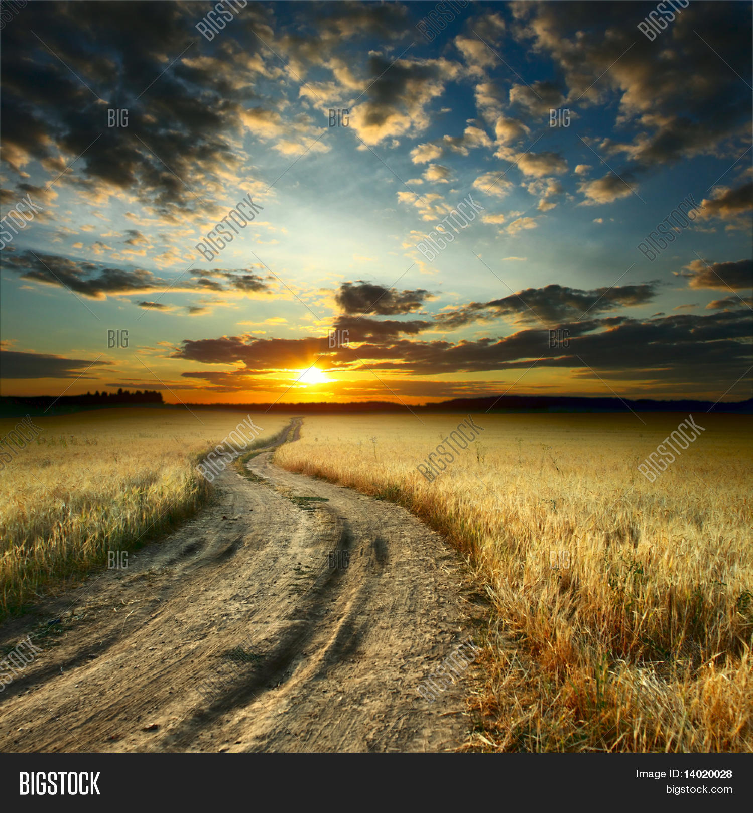 Road Field Ripe Yellow Image & Photo (Free Trial) | Bigstock