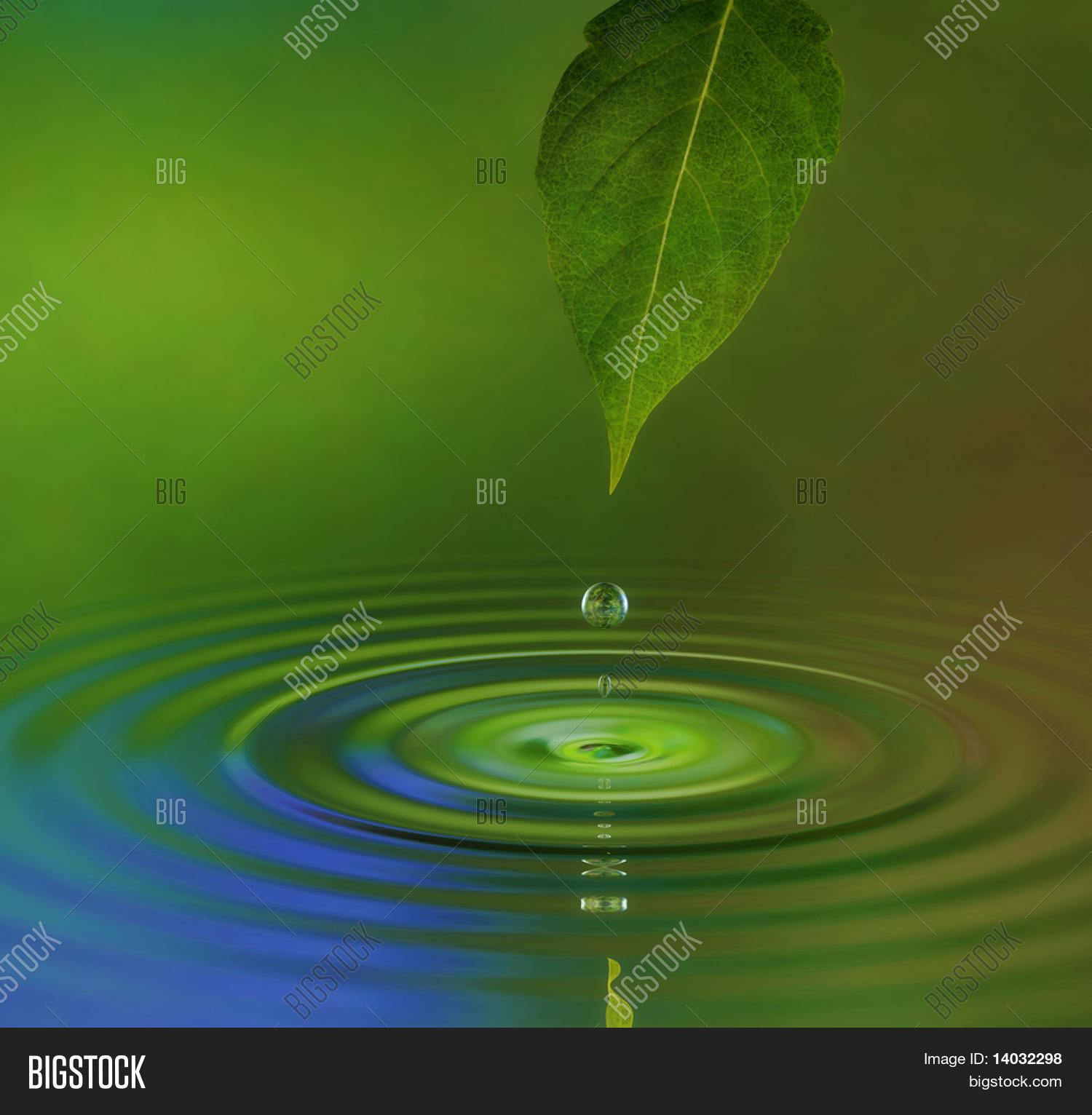 Water Drop Leaf Image & Photo (Free Trial) | Bigstock