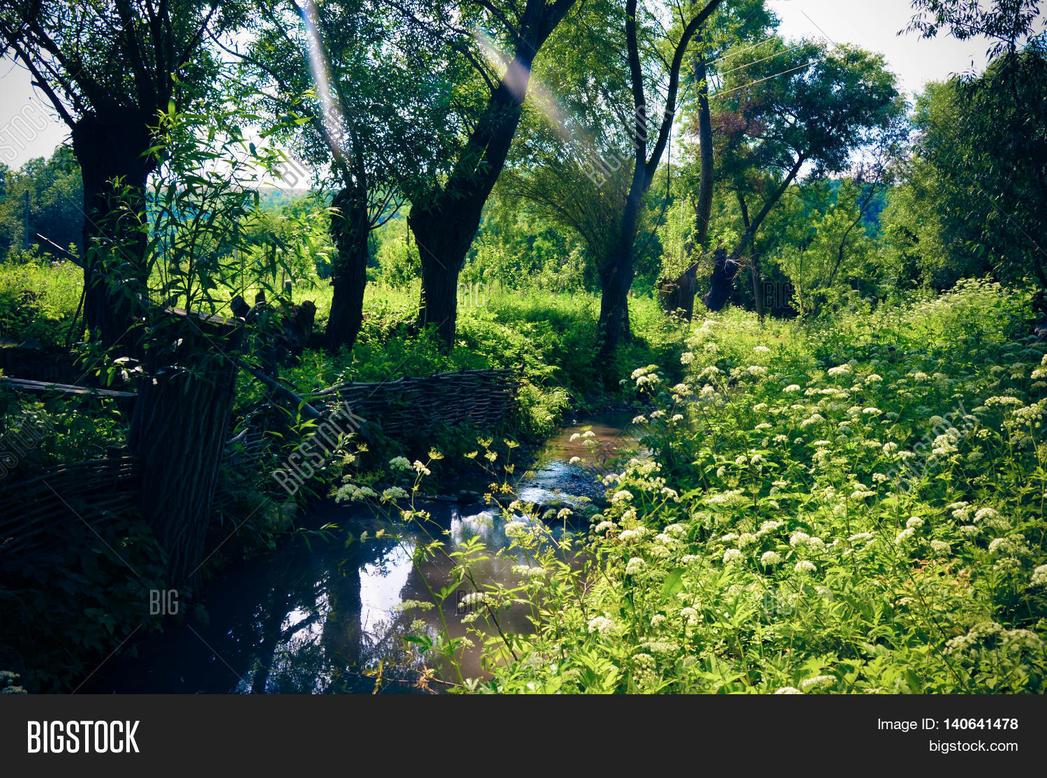 Small Clean River Image & Photo (Free Trial) | Bigstock