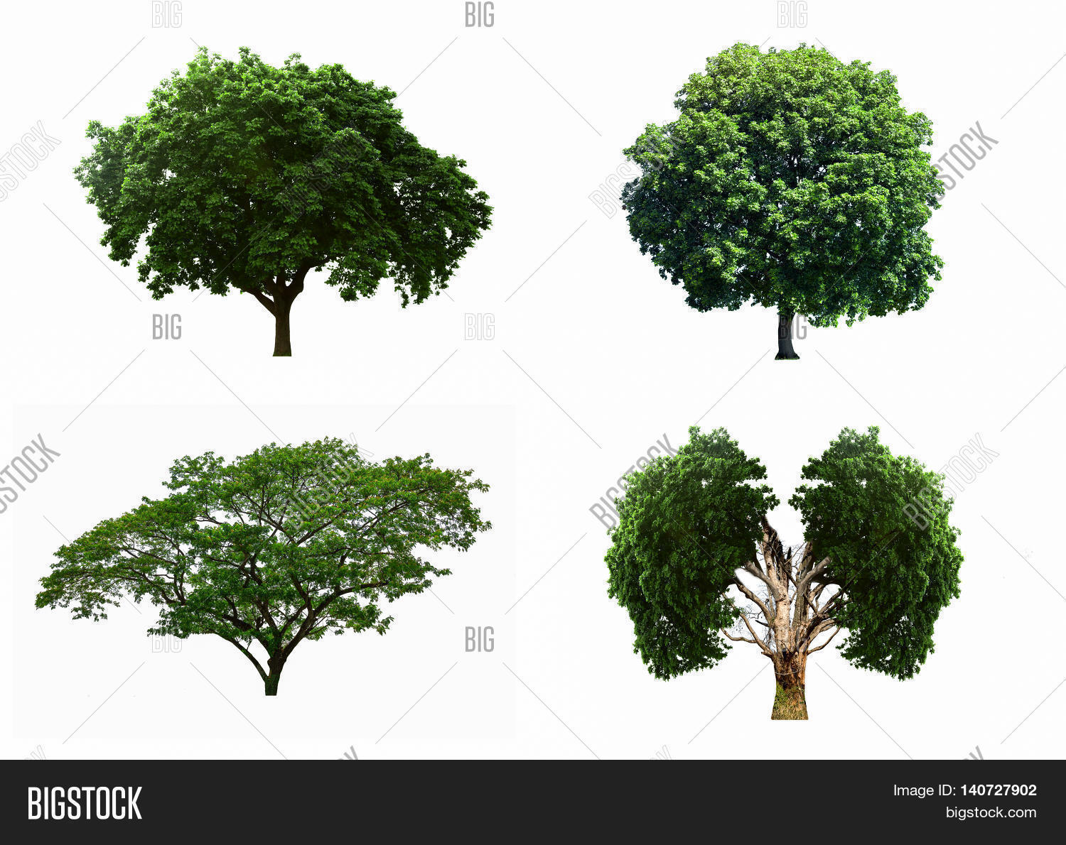 Big Four Tree Sets Image & Photo (Free Trial) | Bigstock