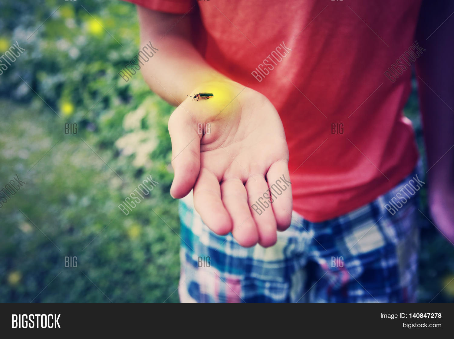 Firefly On Child's Image & Photo (Free Trial) | Bigstock