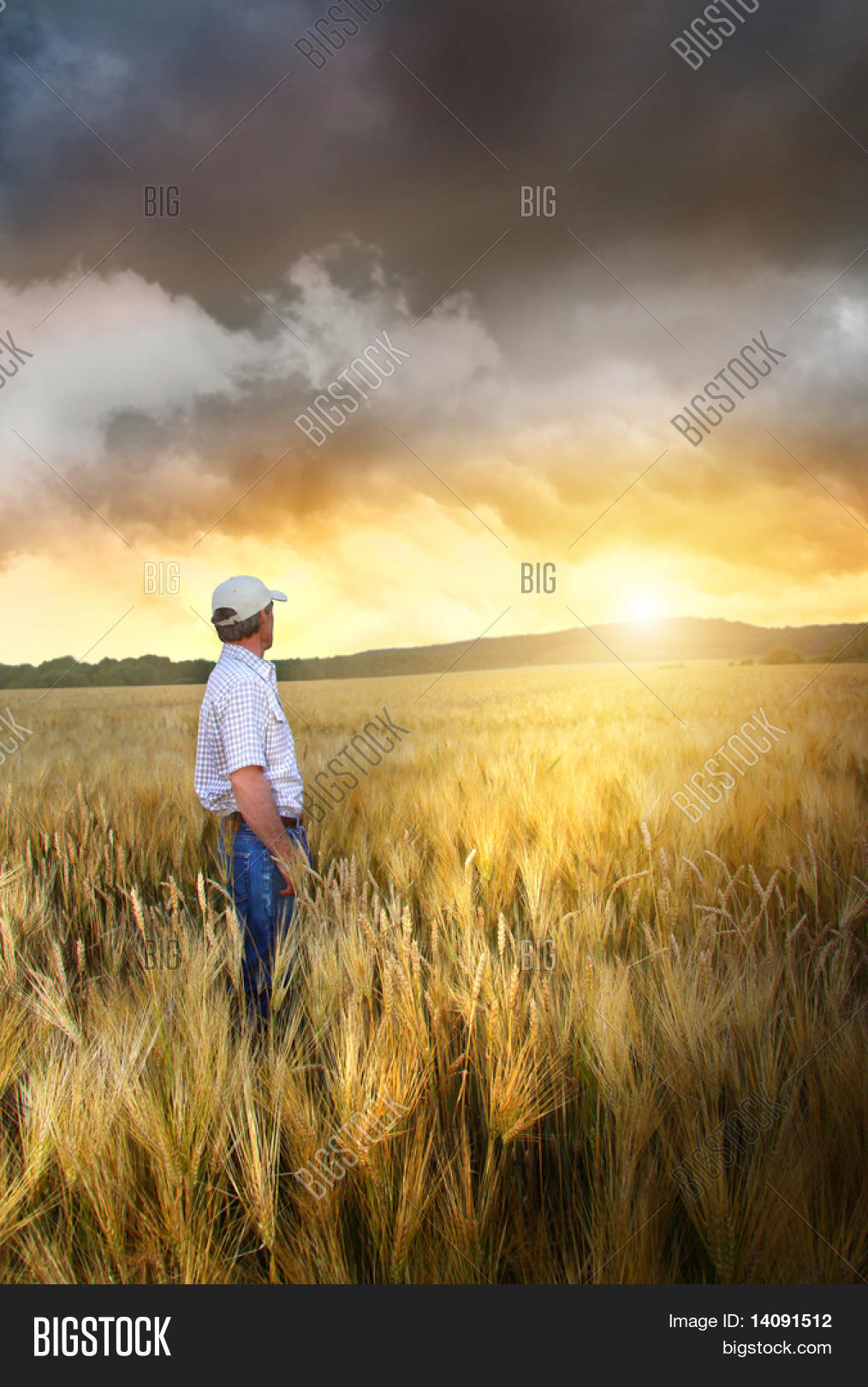 Man Standing Field Image & Photo (Free Trial) | Bigstock