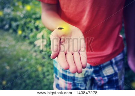 Firefly On Child's Image & Photo (Free Trial) | Bigstock