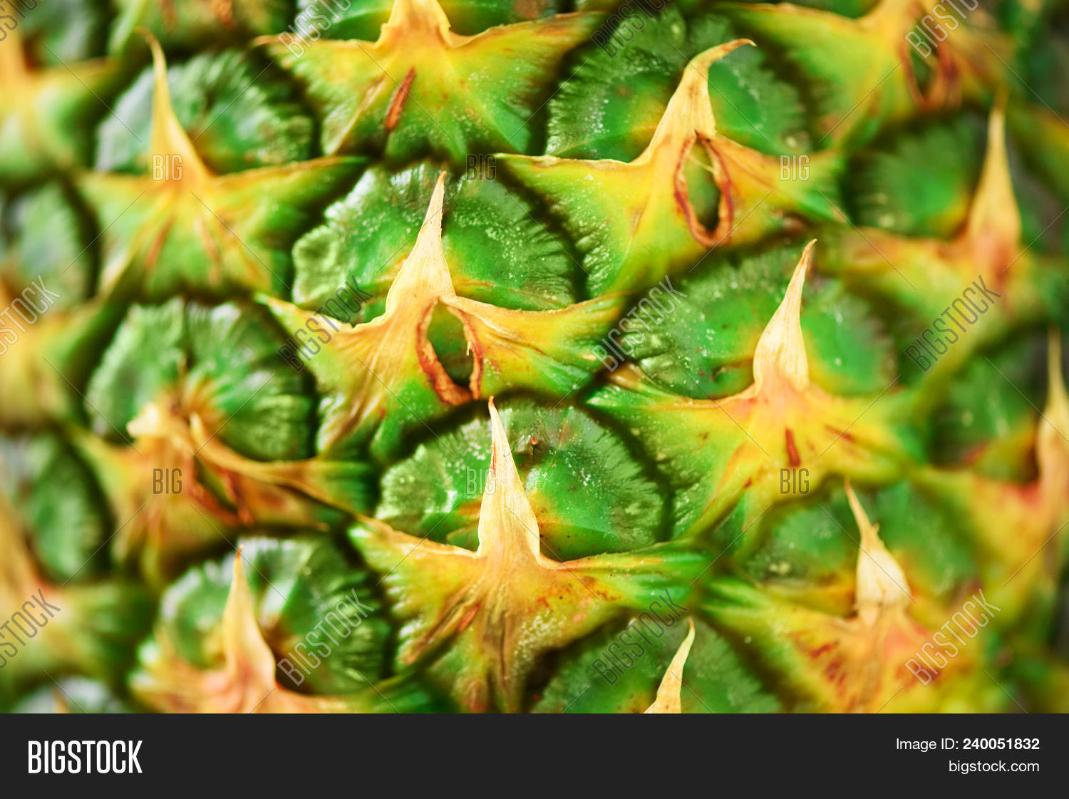 Texture Pineapple Skin Image & Photo (Free Trial) | Bigstock
