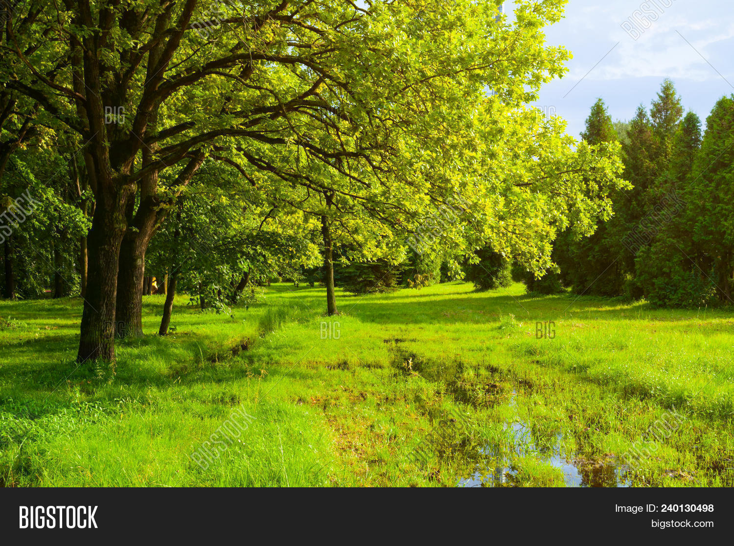 Spring Landscape. Image & Photo (Free Trial) | Bigstock