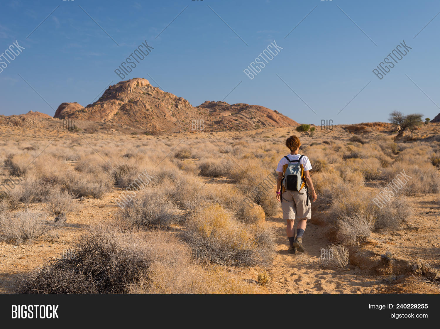 One Person Hiking Image & Photo (Free Trial) | Bigstock