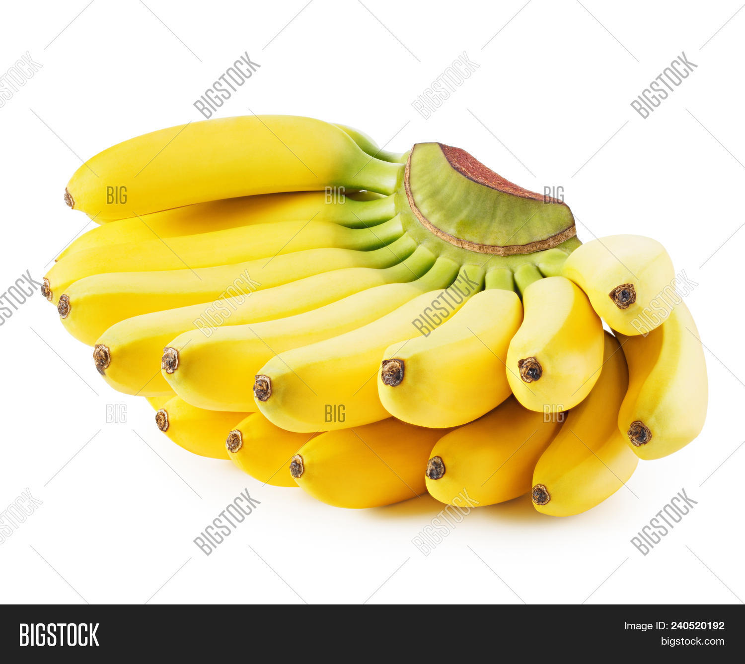 Bananas Isolated On Image & Photo (Free Trial) | Bigstock