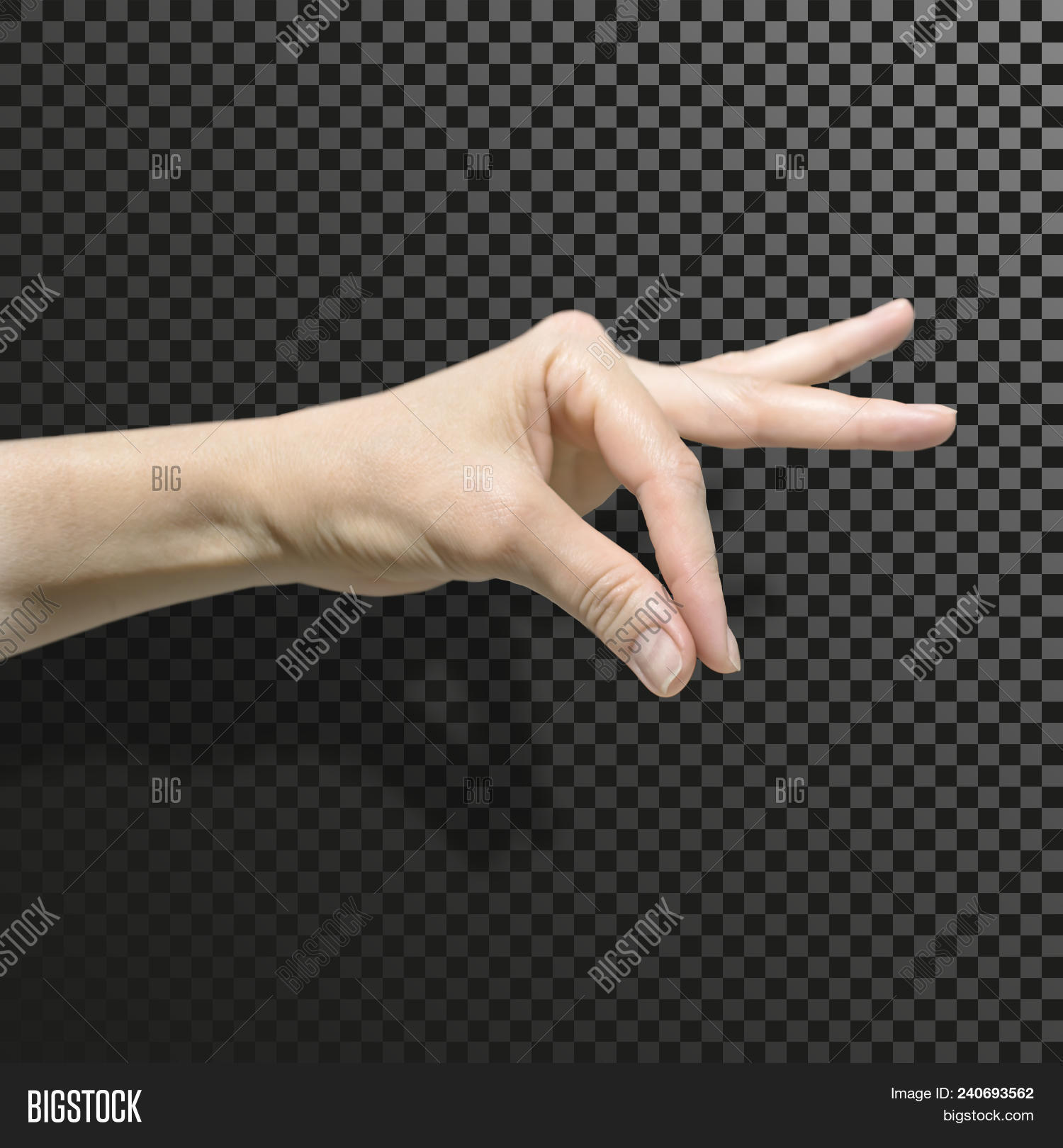 Female Hand Isolated Image & Photo (Free Trial) | Bigstock