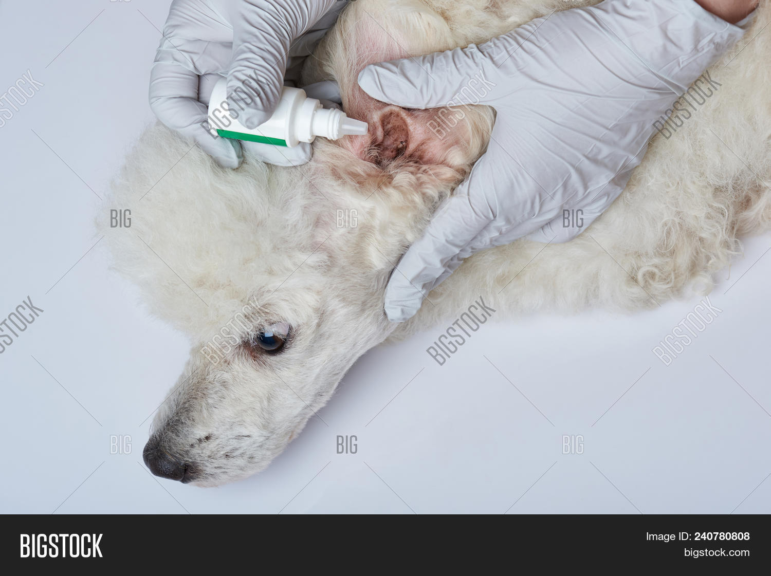 Dripping Ear Drops On Image & Photo (Free Trial) | Bigstock