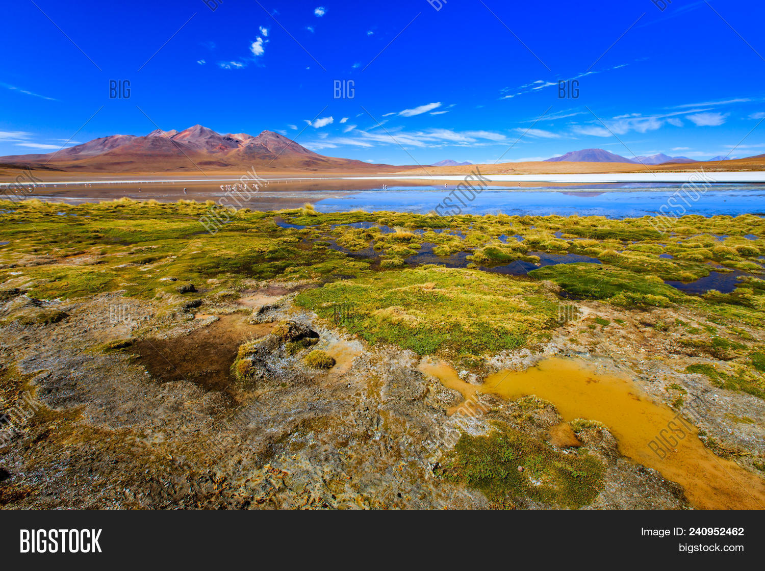 Salvador Dali Desert, Image & Photo (Free Trial) | Bigstock