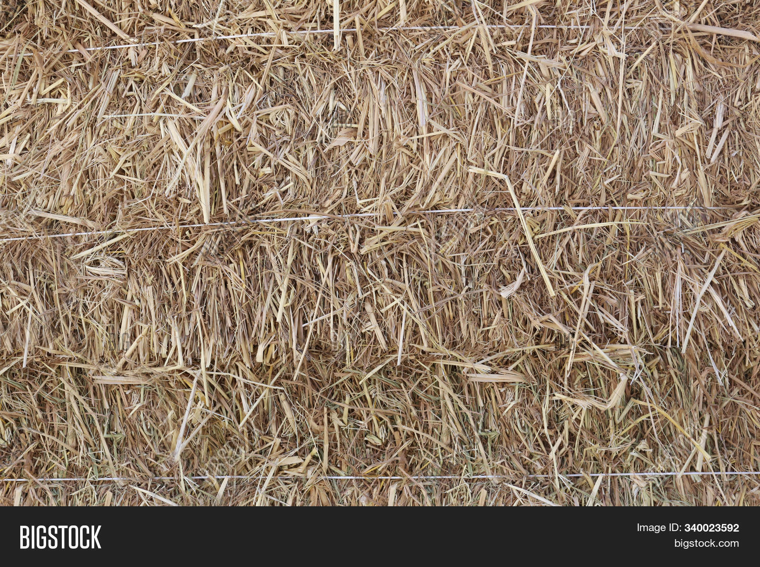 Surface Rice Straw Image & Photo (Free Trial) | Bigstock