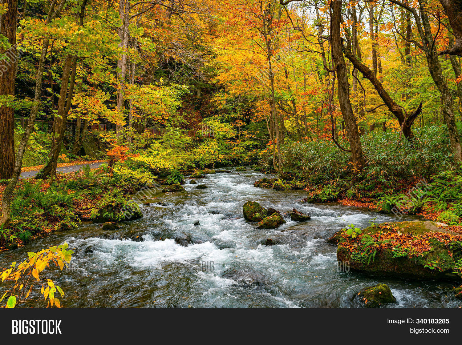 Oirase Mountain Stream Image & Photo (Free Trial) | Bigstock