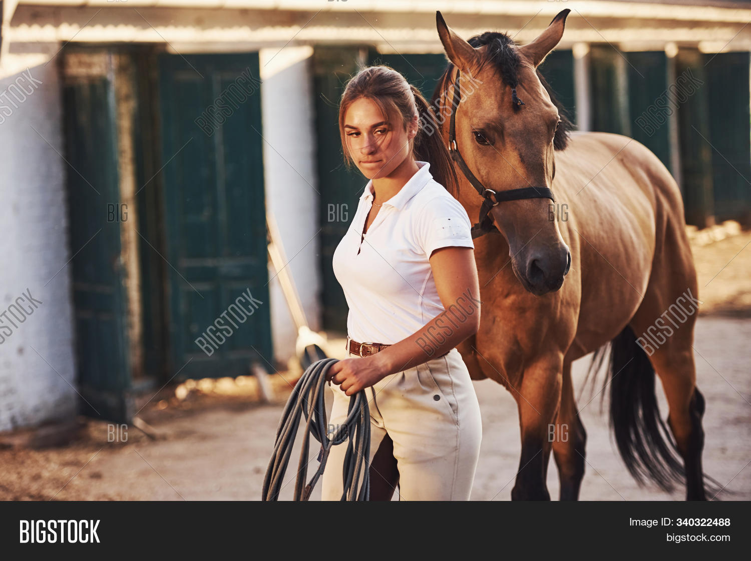 Getting Ready Ride. Image & Photo (Free Trial) | Bigstock
