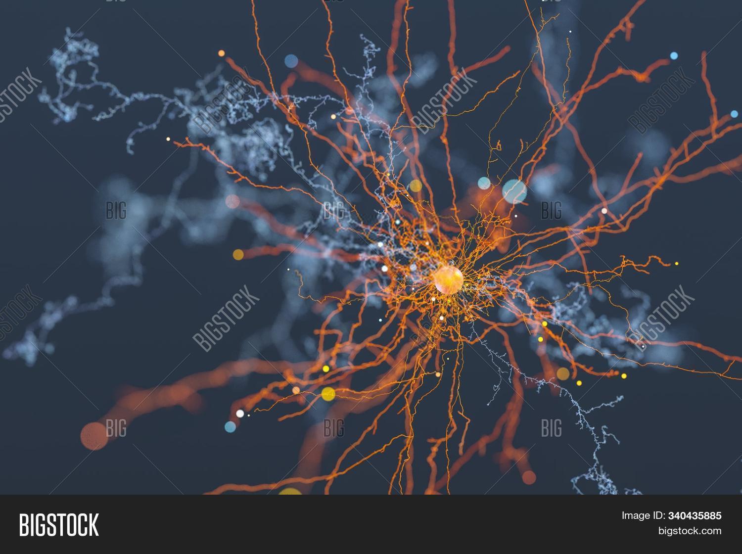 Science Technology. Image & Photo (Free Trial) | Bigstock