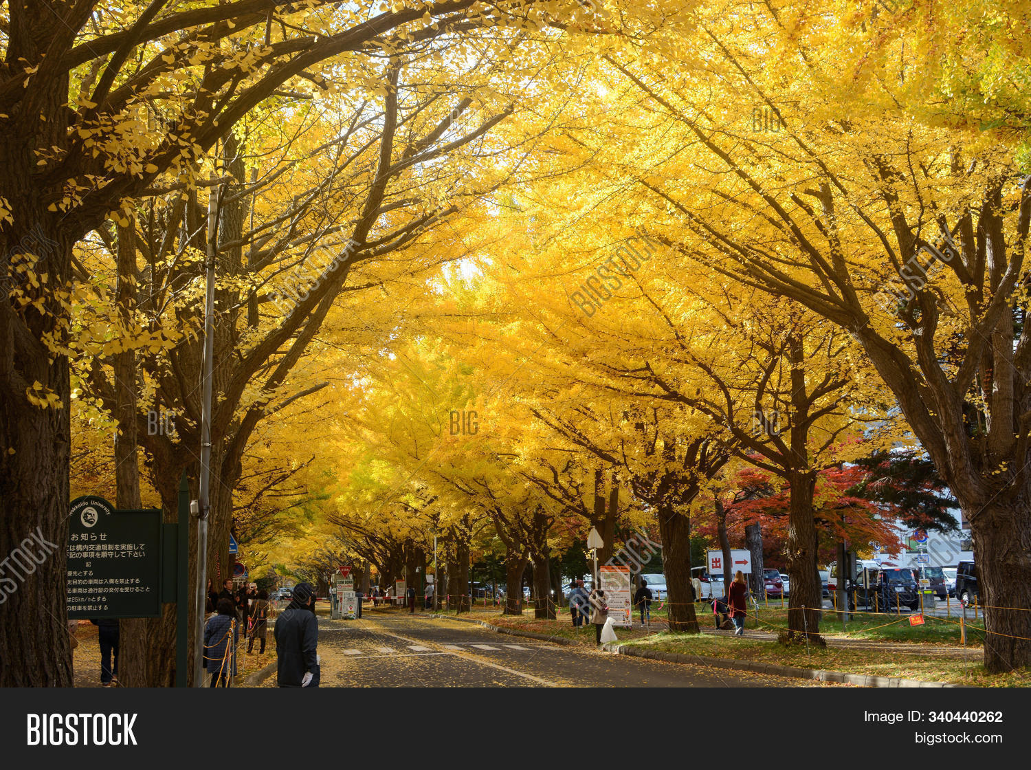 Imagen y foto Sapporo, Japan - (prueba gratis) | Bigstock