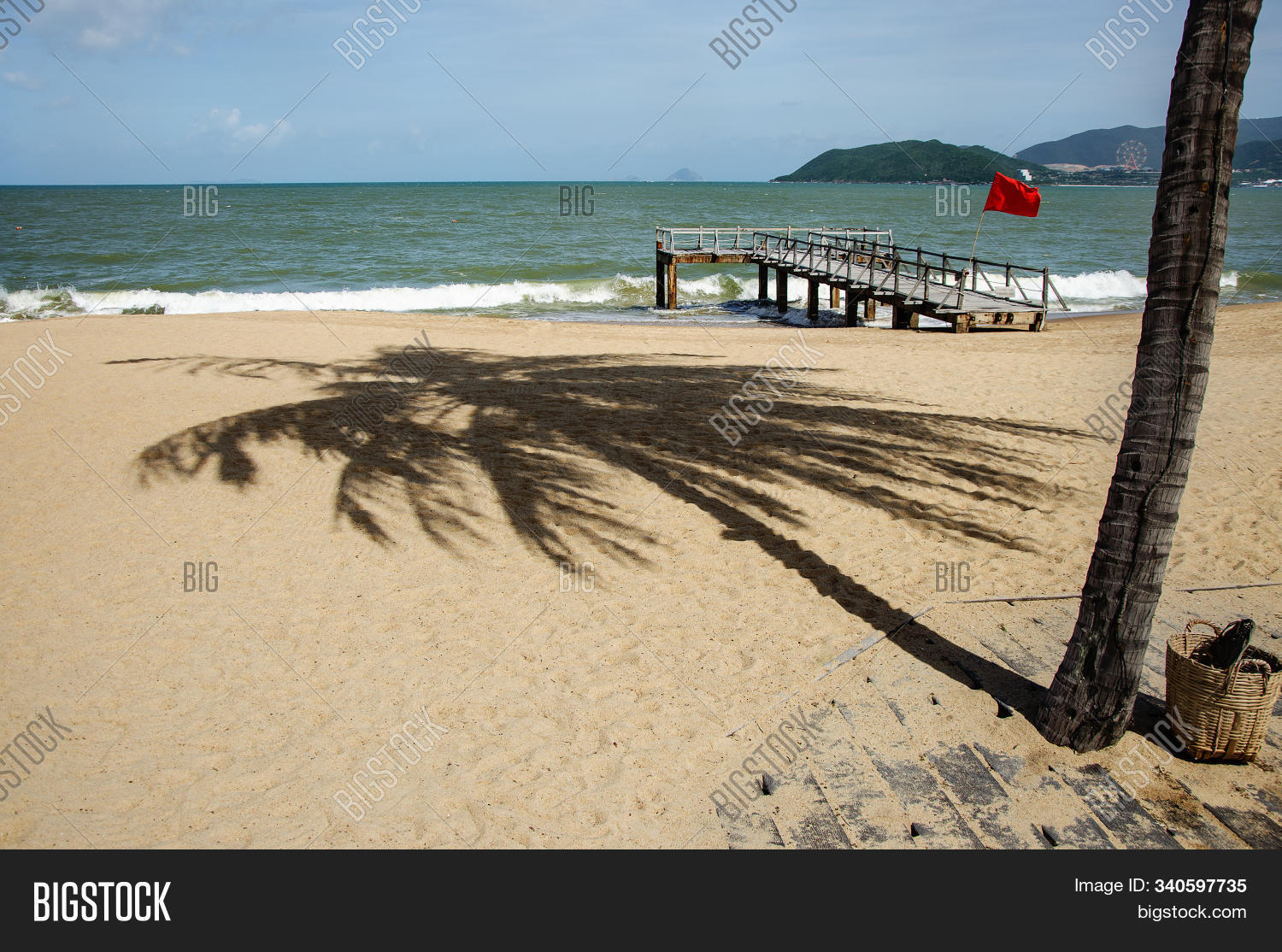 Shadow Coconut Tree Image & Photo (Free Trial) | Bigstock