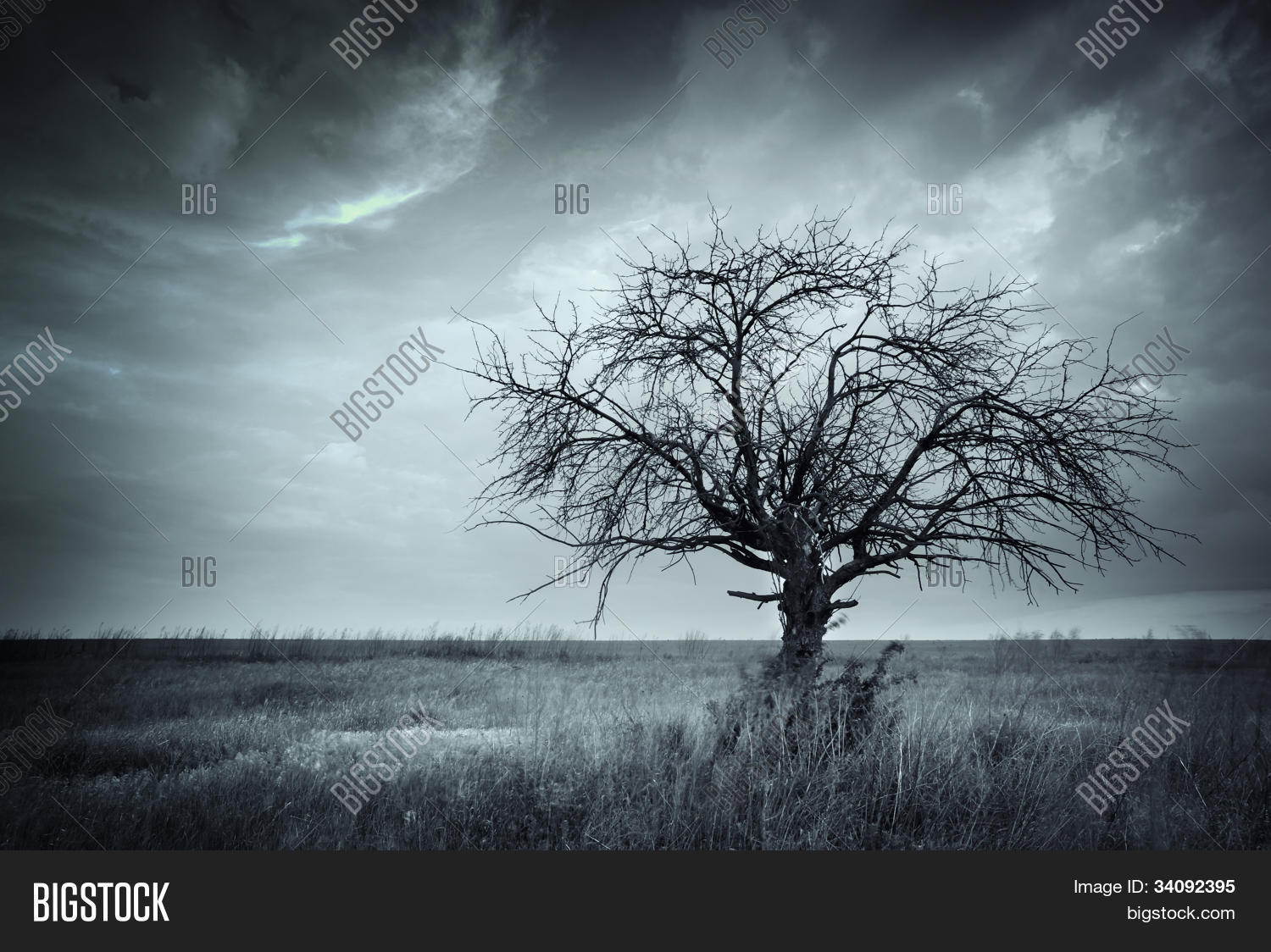 Lonely Dead Tree. Art Image & Photo (Free Trial) | Bigstock