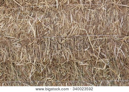 Surface Rice Straw Image & Photo (Free Trial) | Bigstock