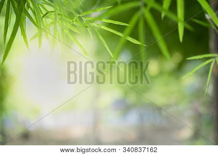 Greenery Background Images, Illustrations & Vectors (Free) - Bigstock
